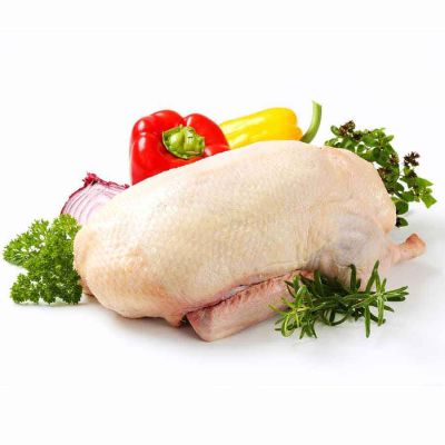 Fleisch - Wild | Lamm | Rind | Ente | Krokodil u.v.m online kaufen